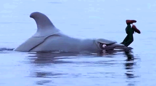 Rabies GIF - Conseguir o melhor gif em GIFER