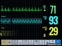 Monitor GIFs - Get the best gif on GIFER