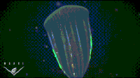 Bioluminescent GIFs - Get the best gif on GIFER