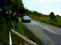 Steers GIFs - Get the best gif on GIFER