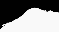Feathers GIFs - Get the best gif on GIFER