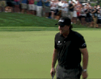 Spectator GIFs - Get the best gif on GIFER