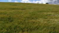 Field GIFs - Get the best gif on GIFER