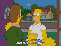 Flanders GIFs - Get the best gif on GIFER