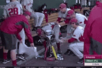 Hog GIFs - Get the best gif on GIFER