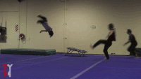 Mate GIFs - Get the best gif on GIFER
