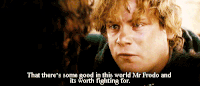 Samwise GIFs - Get the best gif on GIFER