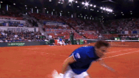 Hurdles GIFs - Get the best gif on GIFER