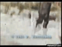 Peggle GIFs - Get the best gif on GIFER