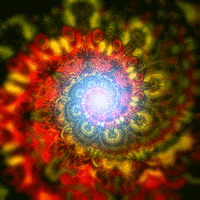 Video GIFs - Get the best gif on GIFER