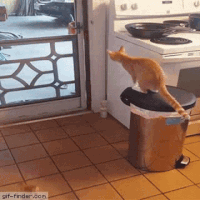 Tom cat GIFs - Get the best gif on GIFER