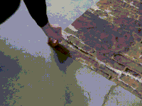 Peelings GIFs - Get the best gif on GIFER