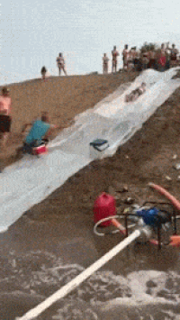 Yorkies GIFs - Get the best gif on GIFER