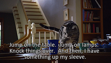 Tipping over GIF - Conseguir o melhor gif em GIFER