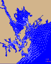 Tidal GIFs - Get the best gif on GIFER