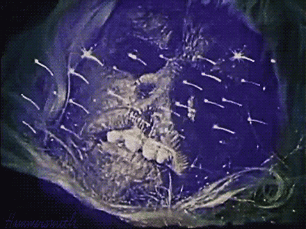 Psychotronic GIF - Conseguir o melhor gif em GIFER