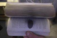 Cujo GIFs - Get the best gif on GIFER