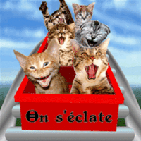 Humour GIFs - Obtenez le meilleur gif sur GIFER