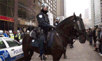 Riot horses GIFs - Get the best gif on GIFER