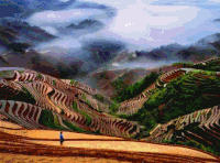 Philippines GIFs - Get the best gif on GIFER