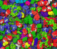 Protein GIFs - Get the best gif on GIFER