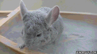 Whirl GIFs - Get the best gif on GIFER