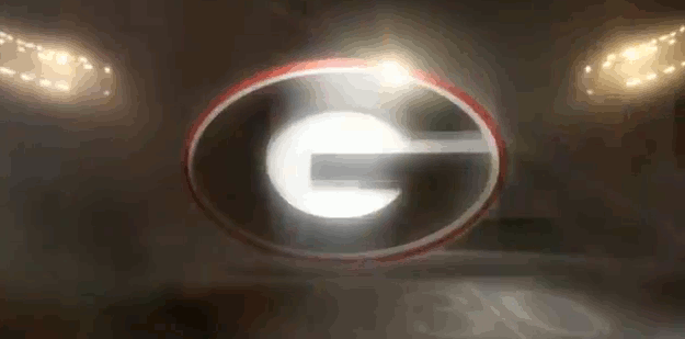 State of georgia GIFs - Get the best gif on GIFER