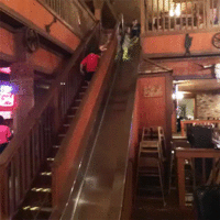 Spiffy GIFs - Get the best gif on GIFER