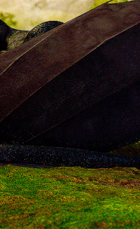 Httyd GIFs - Get the best gif on GIFER