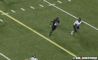 Vanderbilt GIFs - Get the best gif on GIFER