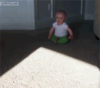 Shadow GIFs - Get the best gif on GIFER