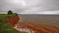 Low GIFs - Get the best gif on GIFER