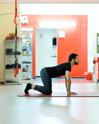 Squat GIFs - Get the best gif on GIFER