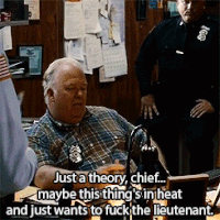 Louis vitello GIFs - Get the best gif on GIFER
