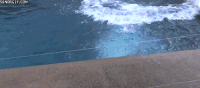 Pools GIFs - Get the best gif on GIFER
