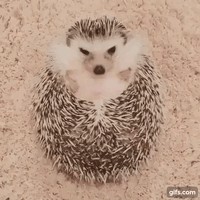 Offer GIFs - Get the best gif on GIFER