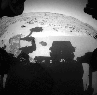 Curiosity GIFs - Get the best gif on GIFER