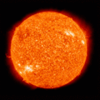 Commons GIFs - Get the best gif on GIFER