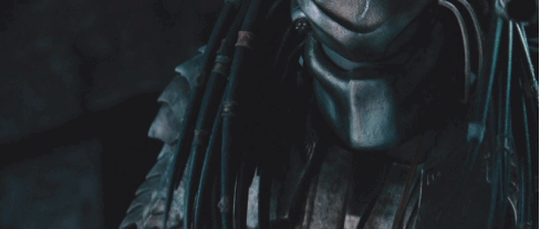 Predador GIFs - Get the best gif on GIFER