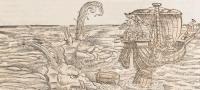 Biodiversity GIFs - Get the best gif on GIFER