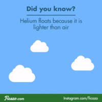 Facts GIFs - Get the best gif on GIFER