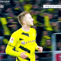 Reus GIFs - Get the best gif on GIFER
