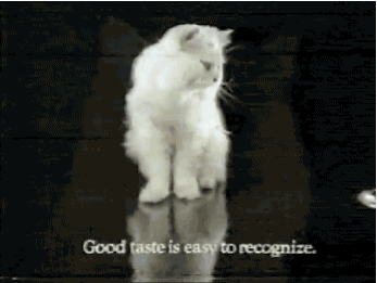Fancy feast GIF - Conseguir o melhor gif em GIFER