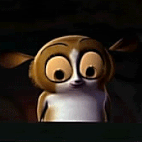 Madagascar GIFs - Get the best gif on GIFER
