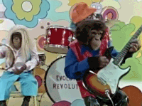Band GIFs - Get the best gif on GIFER