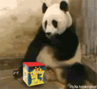 Sneeze GIFs - Get the best gif on GIFER