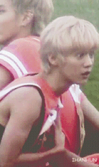 Mandarin GIFs - Get the best gif on GIFER