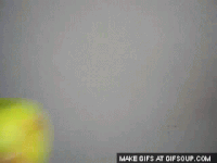 Techo GIFs - Get the best gif on GIFER