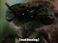 Wormy GIFs - Get the best gif on GIFER