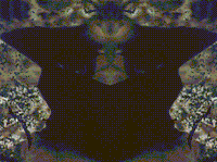 Scanner GIFs - Get the best gif on GIFER